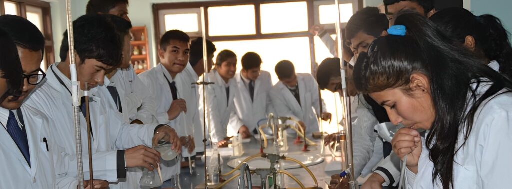 Image Gallery – ED-MARK